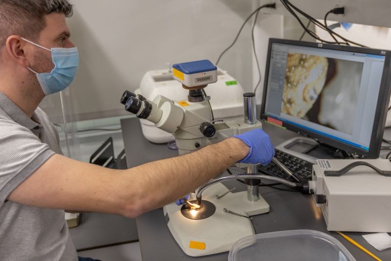 Neuroscience Graduate Programs | College of Arts and Science | Miami ...