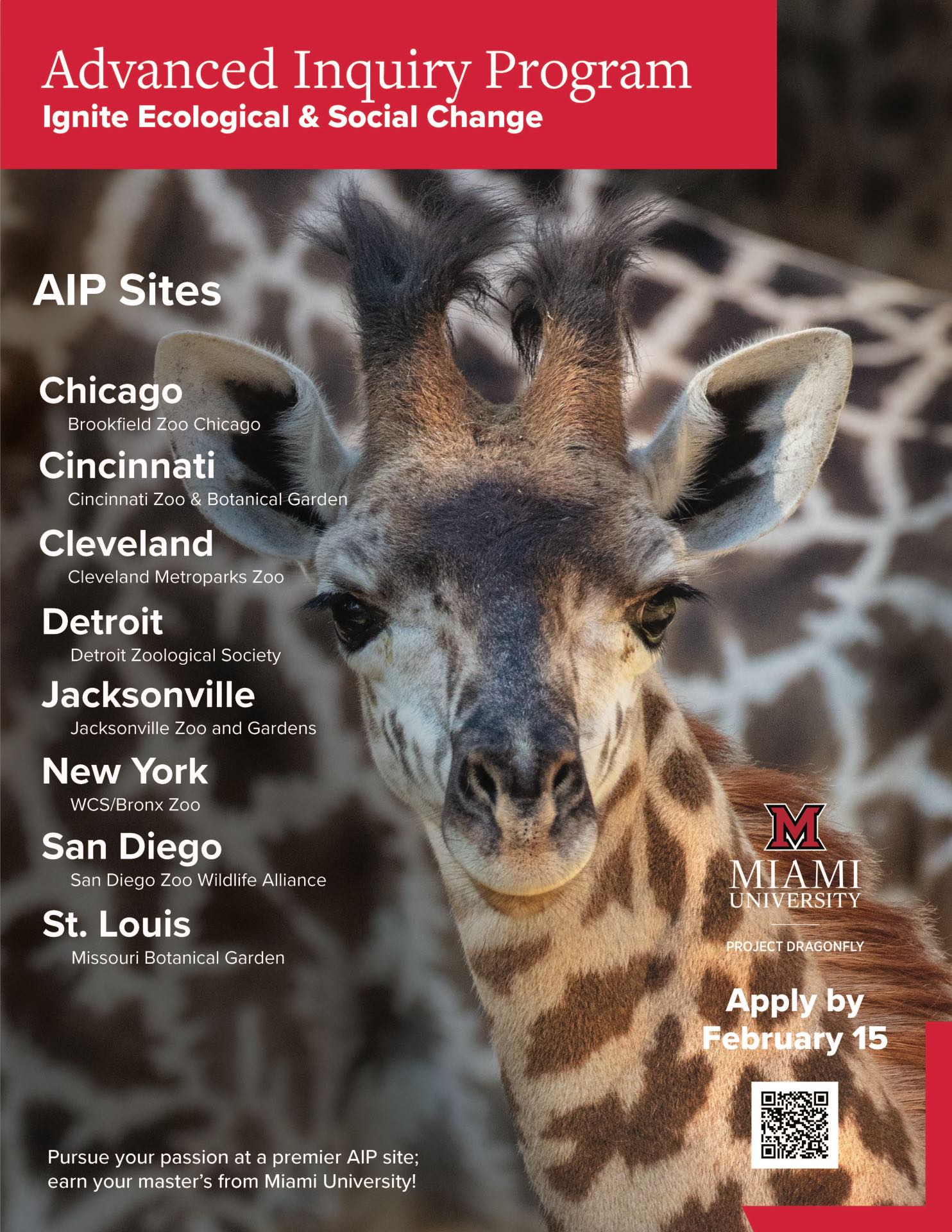 AIP and EE Flyers | Miami University