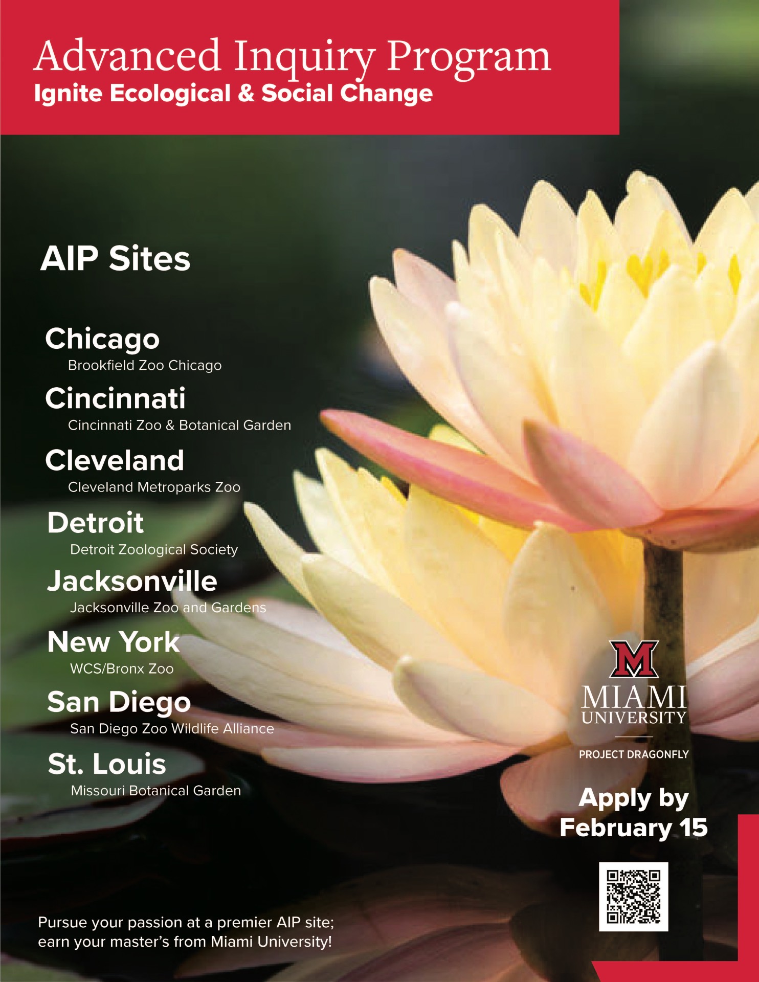 AIP and EE Flyers | Miami University