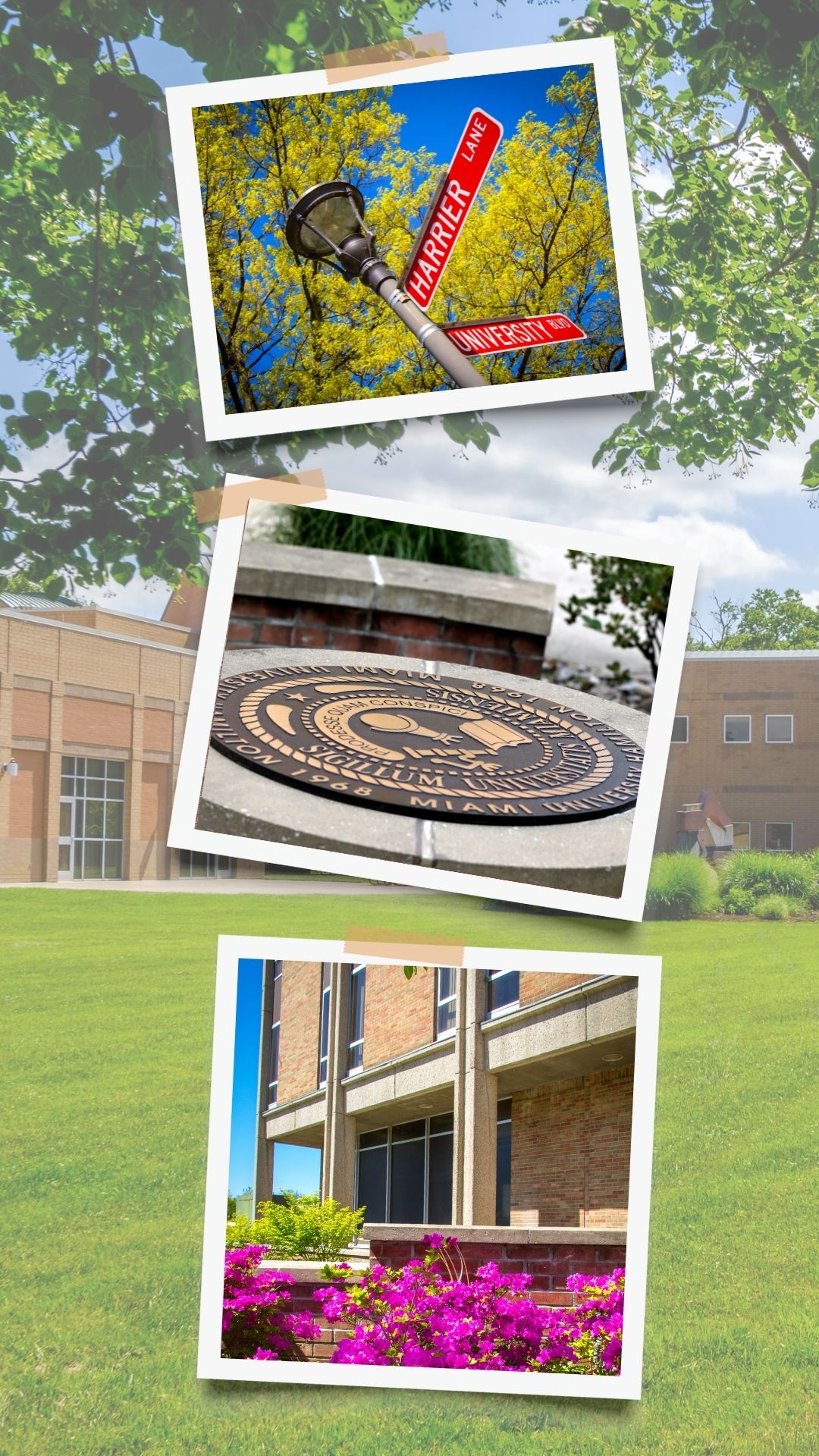 Digital Swag | Confirm | Regionals | Miami University